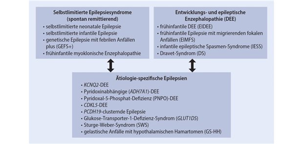 Erworbene Epilepsie Ursachen Symptome Diagnose