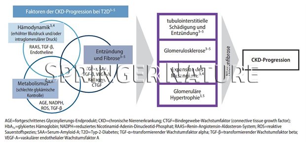 Neuer Ansatz zur Reduktion des renalen und kardiovaskulären Risikos