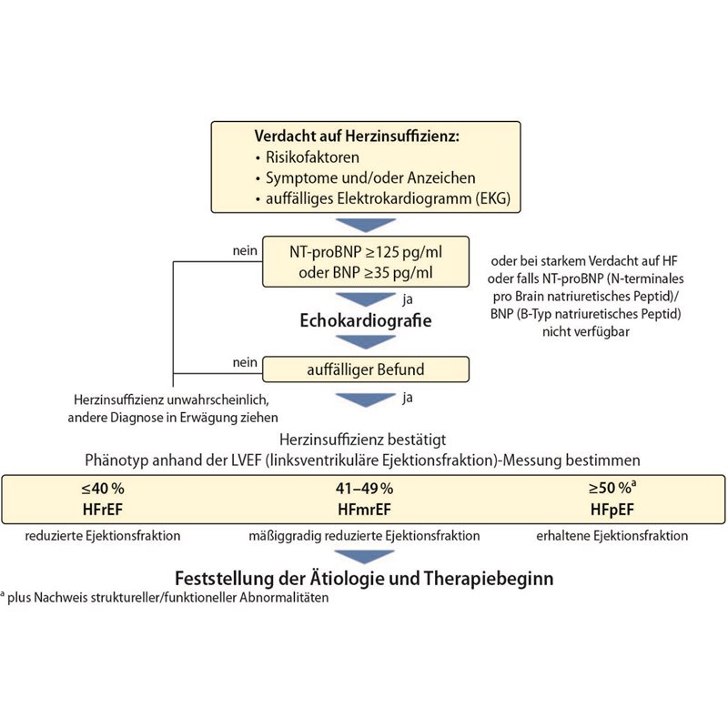 HFpEF in der kardiologischen Versorgung