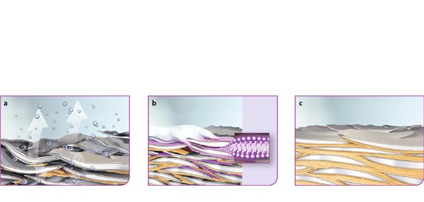 Basispflege nach dem Vorbild der gesunden Haut