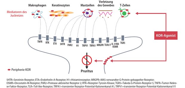 Lücken in der Versorgung von Hämodialyse-Patient*innen schließen