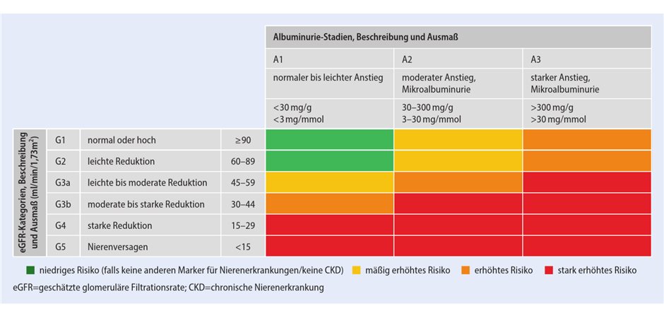 Neue Wege zum Schutz von Niere und Herz