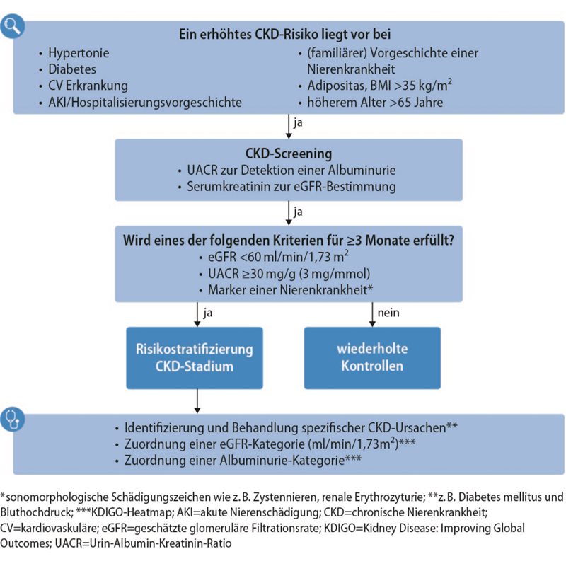 Hausärztliche Versorgung bei chronischer Nierenkrankheit