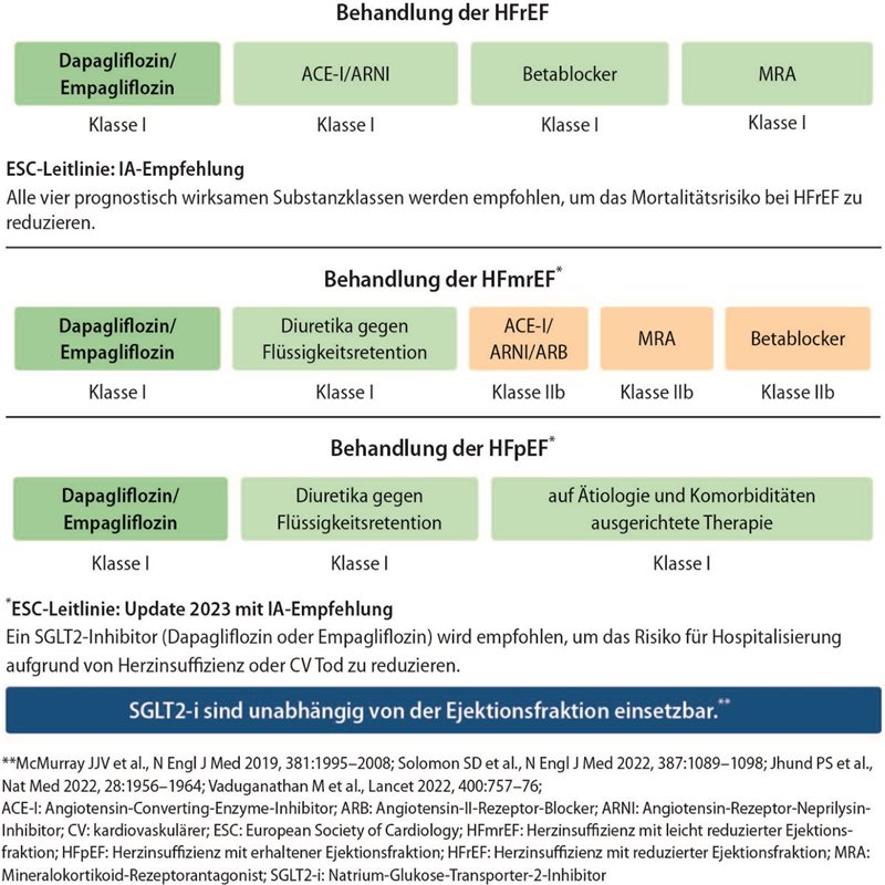 HFpEF in der kardiologischen Versorgung