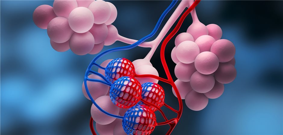 Dunkelfeld-Röntgen erkennt Emphysem