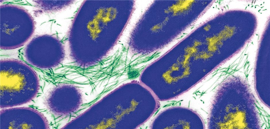 Praktische Tipps bei fünf sexuell übertragbaren Infektionen