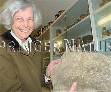 Chinarinden und eine Schwimmblase