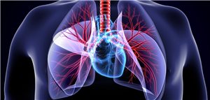 COPD: Die Herausforderung der kardiorespiratorischen Interaktionen