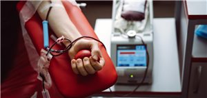 Transfusionsmediziner warnen vor Blutspende ohne anwesenden Arzt