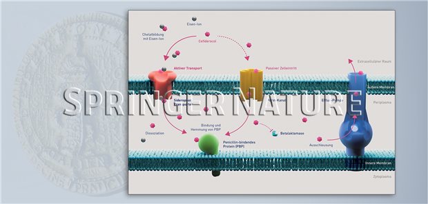 Fetcroja® überwindet Multiresistenz bei aeroben gramnegativen Bakterien
