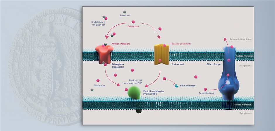 Galenus-Preis 2022: Fetcroja in Kategorie Specialist Care ausgezeichnet