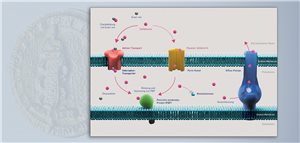 Galenus-Preis 2022: Fetcroja in Kategorie Specialist Care ausgezeichnet