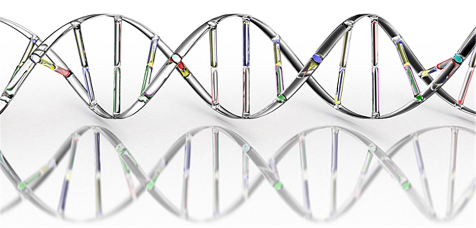 Forscher wollen Ärzten 'Krebs-Navi' bieten