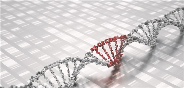 Neue und seltene Muskelkrankheit entdeckt