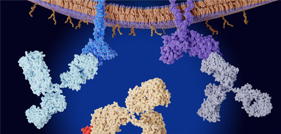 Phase-III-Studie: PD-1-Inhibitor Cemiplimab punktet bei hellem ...