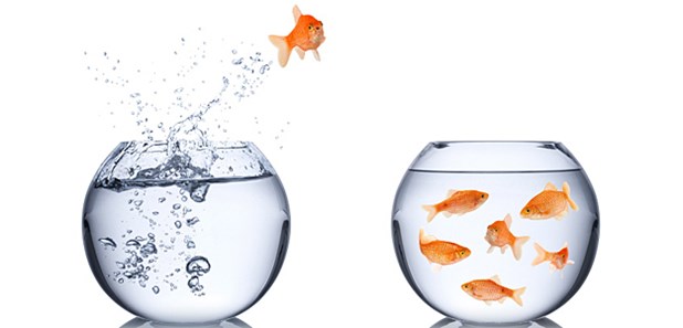 Tarifwechsel leicht gemacht