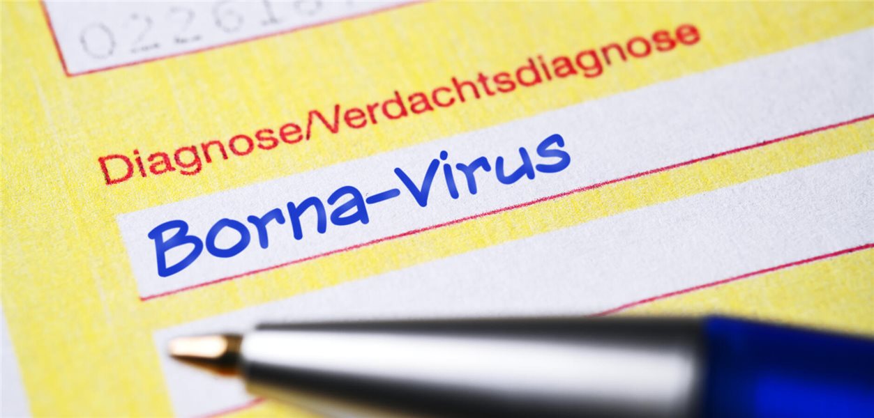 Bornavirus-Infektionen in Deutschland weiterhin selten