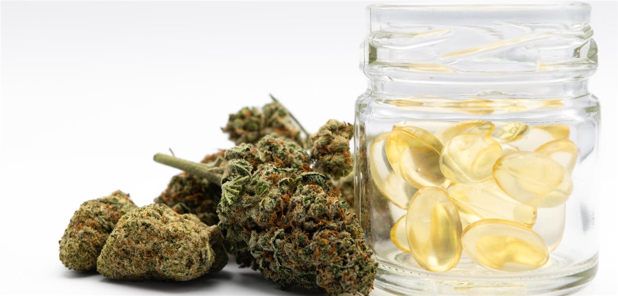 Cbd Und Alkohol