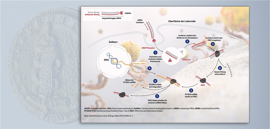 Leqvio – erste siRNA zur Hypercholesterinämie-Behandlung