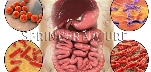 Orale Streptokokken im Darm – schädlich fürs Herz?