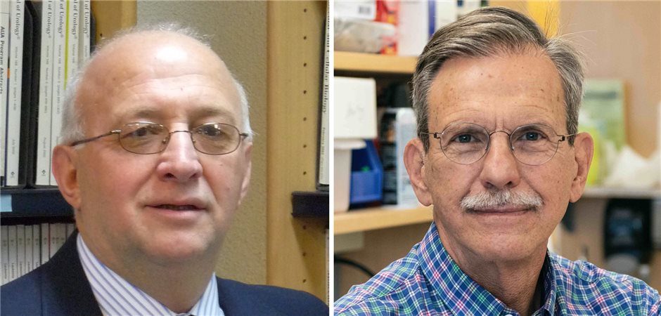 Robert-Koch-Preis geht an Entdecker der Integrine