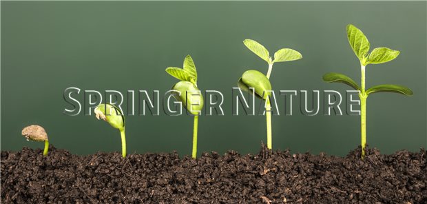 MVZ gedeihen im Gegenwind