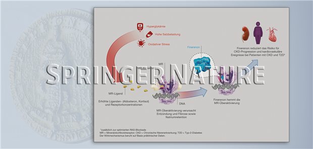 Kerendia – Schutz von Nieren und Herz bei chronischer Nierenerkrankung