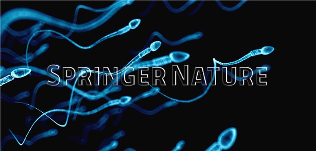 „Pille für den Mann“ erfolgreich im Mausmodell