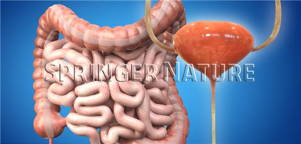 Chaos im Becken: Mit vollständiger Anamnese diagnostische Irrwege vermeiden