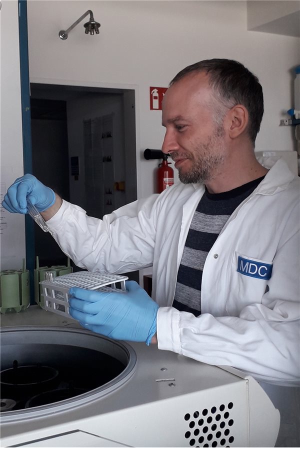 Erfolg bei MS mit Antikörper gegen Monozyten