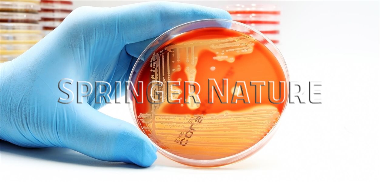 Drei Maßnahmen gegen multiresistente Erreger in Kliniken und Heimen