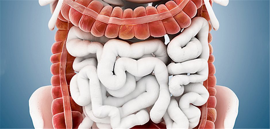 Breites Spektrum an Therapieoptionen