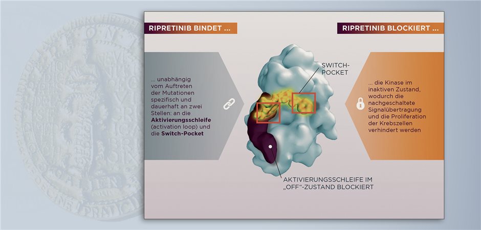 Qinlock – Chance in vierter Therapielinie bei gastrointestinalen ...