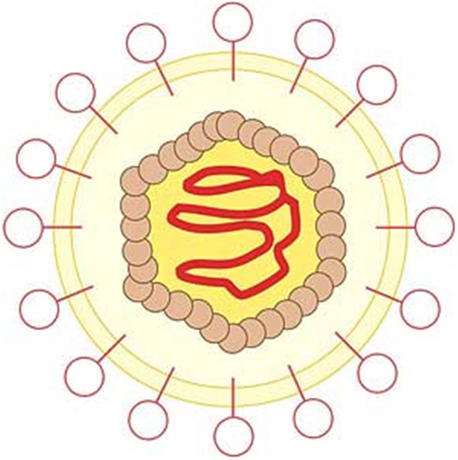 Zwei Projekte sollen Influenzaforschung voranbringen
