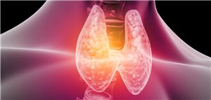 Studie zu Hyperthyreose: Weniger Herz- und Gefäßprobleme nach Operation ...