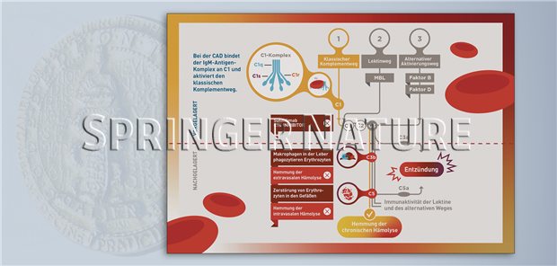 Enjaymo® – Hemmung der chronischen Hämolyse bei Kälteagglutinin-Krankheit