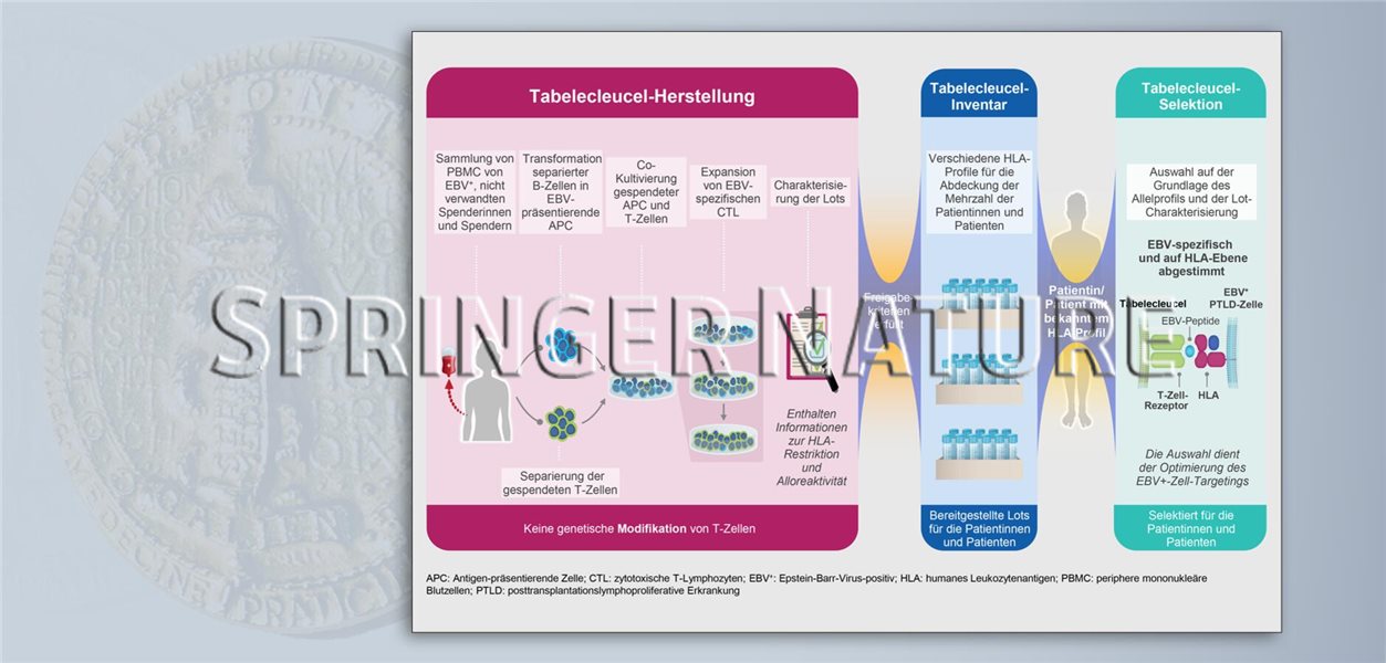 Ebvallo® – die erste zugelassene allogene T-Zell-Therapie bei ...