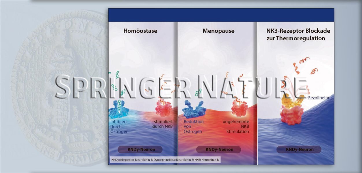 Veoza™ – Vasomotorische Menopause-Symptome hormonfrei behandeln