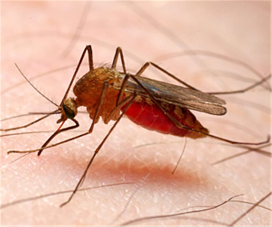 Vielen Kindern fehlt eine Malaria-Prophylaxe