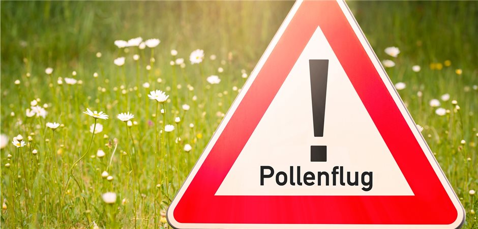 Pollenflug: ePIN macht Infos schneller verfügbar